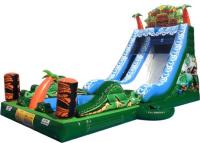 China Waterproof Plato PVC tarpaulin Tall Inflatable Water Slides Rental for sale