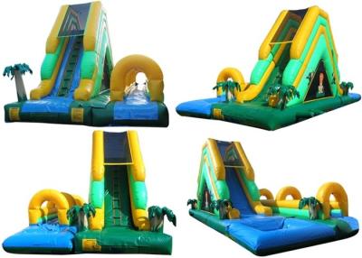 China Environmental Outdoor Inflatable Water Slides With Durable PVC Tarpaulin for sale