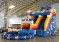 China Funny Full Printing Inflatable Double Lane Water Slide With Round Pool for sale