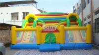 China ODM Plato Inflatable Combo Outdoor Commercial Bouncy Castles for sale