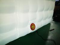 China Trade Show Inflatable Christmas Decoration Blower Motor 220V/110V 50Hz/60Hz for sale