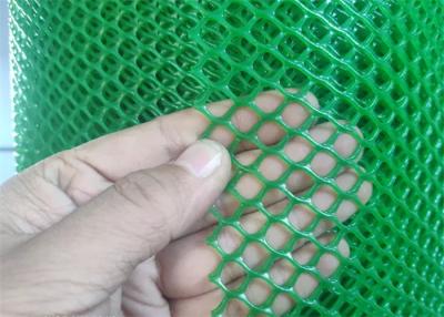China 15mm Plastic Chicken Mesh Diamond Hole Green Hdpe for sale