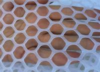 China 100% HDPE Hexagonal Shape Plastic Mesh Netting for Poultry Chicken Aviary with 5 Years Use Time for sale