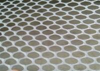 China 100% HDPE Hexagonal Shape Plastic Mesh Netting for Poultry Chicken Aviary with 5 Years Use Time for sale