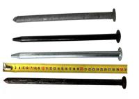 China Steel Fasteners Building 3 Inch Metal Wire Nails Common Concrete Nails for sale