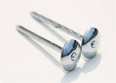 China 25kg Per Carton 12 Gauge Galvanized Roofing Nails Iron With Umbrella Head for sale