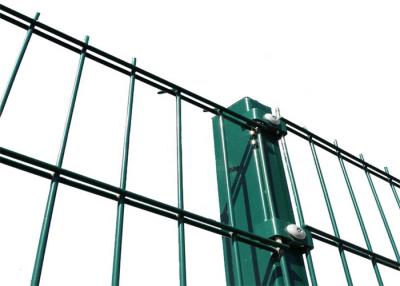 China 6mm 2d Twin Bar Wire Mesh Fence Panels 868/656 Double Rod Mat Bilateral for sale