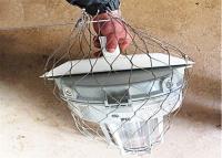 China SS316 7x19 Wire Rope Mesh with 30kg Load Capacity for Light Protection Safety Net for sale