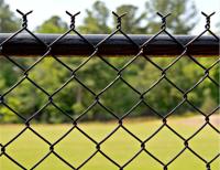 China 2m Height PVC Coated Diamond Chain Link Fence for Farm Use for sale
