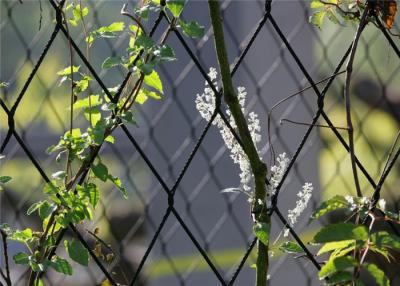 China 40mm*40mm Hole Size SS316 Stainless Steel Rope Mesh Green Wall For Plant for sale