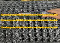 China 25.4*67mm Hole Size Hot Dipped Galvanized Pipeline Reinforced Welded Wire Mesh For Gas for sale
