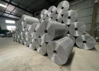 China Hot Dipped Galvanized Reinfored Welded Mesh For Offshore Gas Pipeline for sale