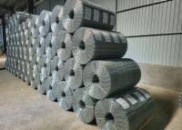 China 190.5 Width In Roll Hot Dipped Galvanized Reinforced Wire Mesh for sale