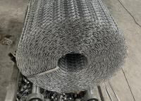 China 10 Lines Wire Hot Dipped Galvanized Reinforced Welded Wire Mesh In Gas Oil Pipeline for sale
