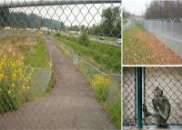China 2.8meters Width hot dipped galvanized Chain Link Fencing for School use for sale