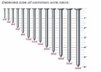 China Polished Surface Common Iron Nails Flat Head Type Strong Tensile For Construction Work for sale