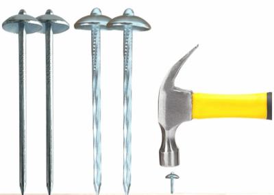 China Umbrella Head Galvanized Roofing Nail For Plastic Tile for sale