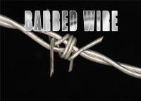 China 100mm Distance Stainless Steel Double Twisted Razor Barbed Wire for Security Fencing for sale