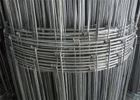 China 2.5mm Hot Galvanized Hinge Knot High Tensile Field Fence for sale