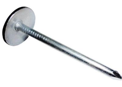China BWG9 Smooth Shank Hot Dipped Galvanized Roofing Nails for sale