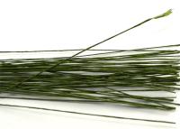 China 22 Bwg Assorted Colour Paper Wrapped Floral Wire 600mm Length for sale
