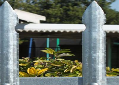China 3.2m D Profile Wrought Iron Galvanized Palisade Fencing for sale