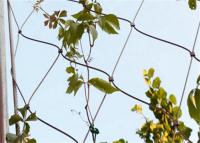China 100*100mm Wire Rope Mesh Green Plant Climbing Ss304 for sale
