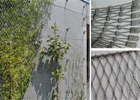 China 3m Height 7 × 7 Wire Rope Mesh Climbing Plants Diamond Green Facade Cable System for sale