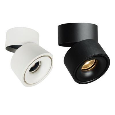 China Anti Glare Led Interior Spot Lighting 3W AC180V Dimming For Families Decoration for sale