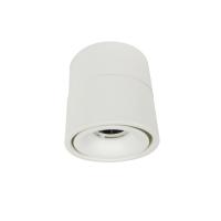 China Surface Mount TUV Spotlight Commercial Track Lights 24deg Beam Angle 11cm for sale