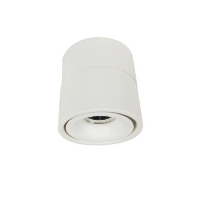 China Surface Mount TUV Spotlight Commercial Track Lights 24deg Beam Angle 11cm for sale