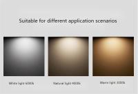 China 10W 36deg Indoor LED Spotlights CRI 90 for sale