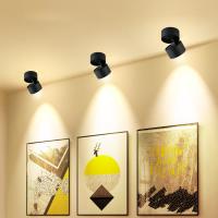 China AMS　12Ｗ　 Ceiling Adjustable Led Track Lighting Heads No Mercury 148mm Height for sale