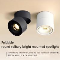 China AMS 15ＷCeiling Adjustable Led Track Lighting Heads No Mercury 148mm Height for sale