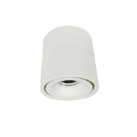 China AMS 15ＷCeiling Adjustable Led Track Lighting Heads No Mercury 148mm Height for sale