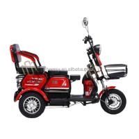 China 2024 Electric Tricycle Motorcycle Bike Three Wheel with Single Gross Weight of 75.000 kg and Voltage of 48V for sale