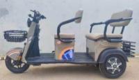 China 801-1000W Electric Tricycle for Manned Entertainment A Better Alternative to Traditional Electric Tricycles for sale