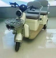 China Manned Leisure Electric Vehicle Hot Chinese Small Electric Tricycle with Powerful 801-1000W Motor for sale