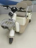 China Manned Leisure Electric Vehicle Hot Chinese Small Electric Tricycle with Powerful 801-1000W Motor for sale