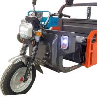 China Spacious 1000W Electric Tricycle for Comfortable and Convenient Passenger Transport for sale