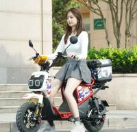 China 1200w Lithium Battery Electric Car for Adults 2024 Motorcycle Type Touring Motorcycles Max. Speed 61 80km/h Two-Wheel for sale