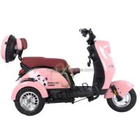 China 15-20° Grade Ability The Must-Have Feature of Our Electric Tricycle for Practical and Beautiful Girls for sale