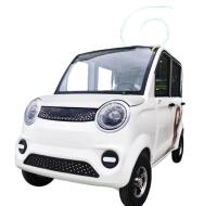 China 2024 Four-Wheel Energy Resources Electric Vehicle with 1200W High Endurance and 300km Range for sale