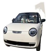 China 3000w Four-Wheel Electric Vehicle The Future of Sustainable Transportation with 300km Endurance for sale