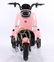 China Electric Tricycles 3 Wheel Passenger Adult Electric Tricycle 2 Passengers Driving Mileage 70-90km for sale