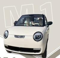 China 2024 Hot Chinese Electric Cars to Manufacture Small Electric Cars for Market for sale
