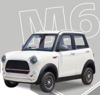China 3000W Electric Four-Wheel Car The Perfect Combination of Power and Sustainability for sale
