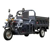 China Front drum 600 Watt Electric Tricycle Durable and for Adult Riders for sale