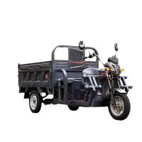 China 60V100Ah Lithium Ion Battery Multifunctional Electric Cargo Tricycle for Adults 801-1000W for sale