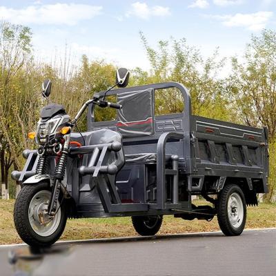 China All Tube Type Controller 800w/1000w/1200w/1500w Open Top Electric Tricycle for Adults Comfortable Pedal Assisted Commute for sale